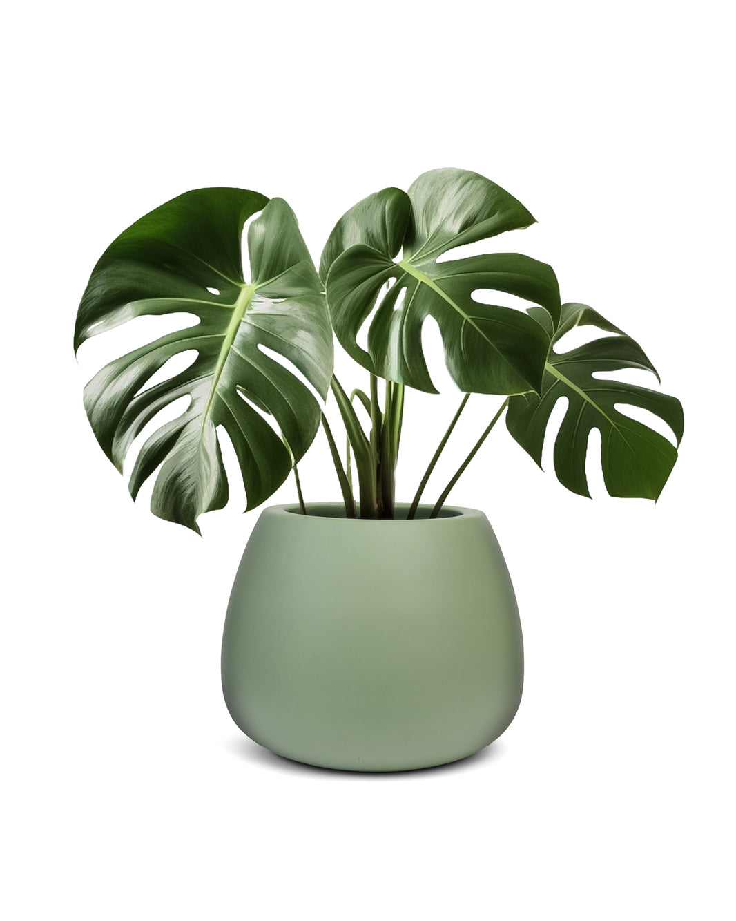 C Studio Planters
