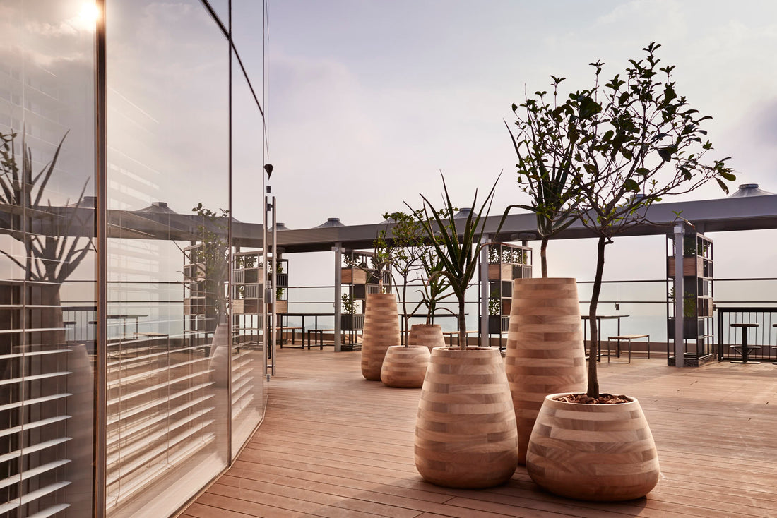 Indigenus Planters – C Studio