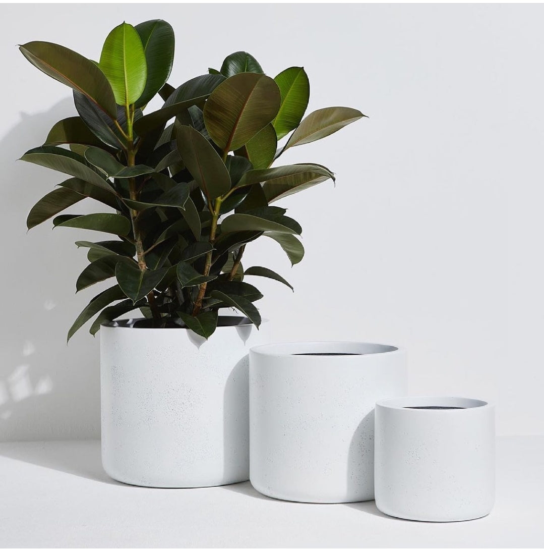C Studio Planters